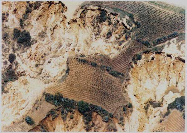 Soil and water conservation